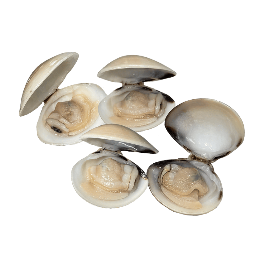 The Town Dock's Clams | Wholesale Seafood | Whole Shell Clams