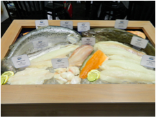 Wonderful Memories at the 2015 Seafood Expo North America!