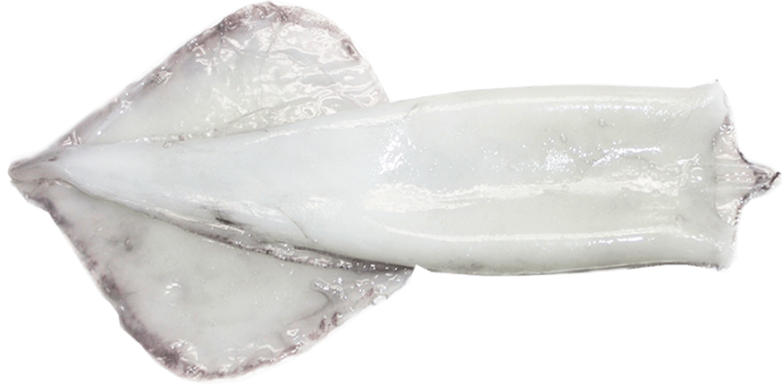 Traditionally Cleaned vs. Fully Cleaned Squid