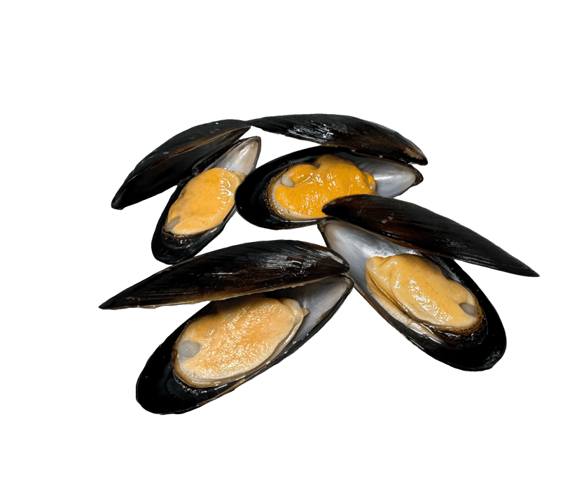 The Town Dock's Mussels | Wholesale Seafood | Whole Shell Mussels