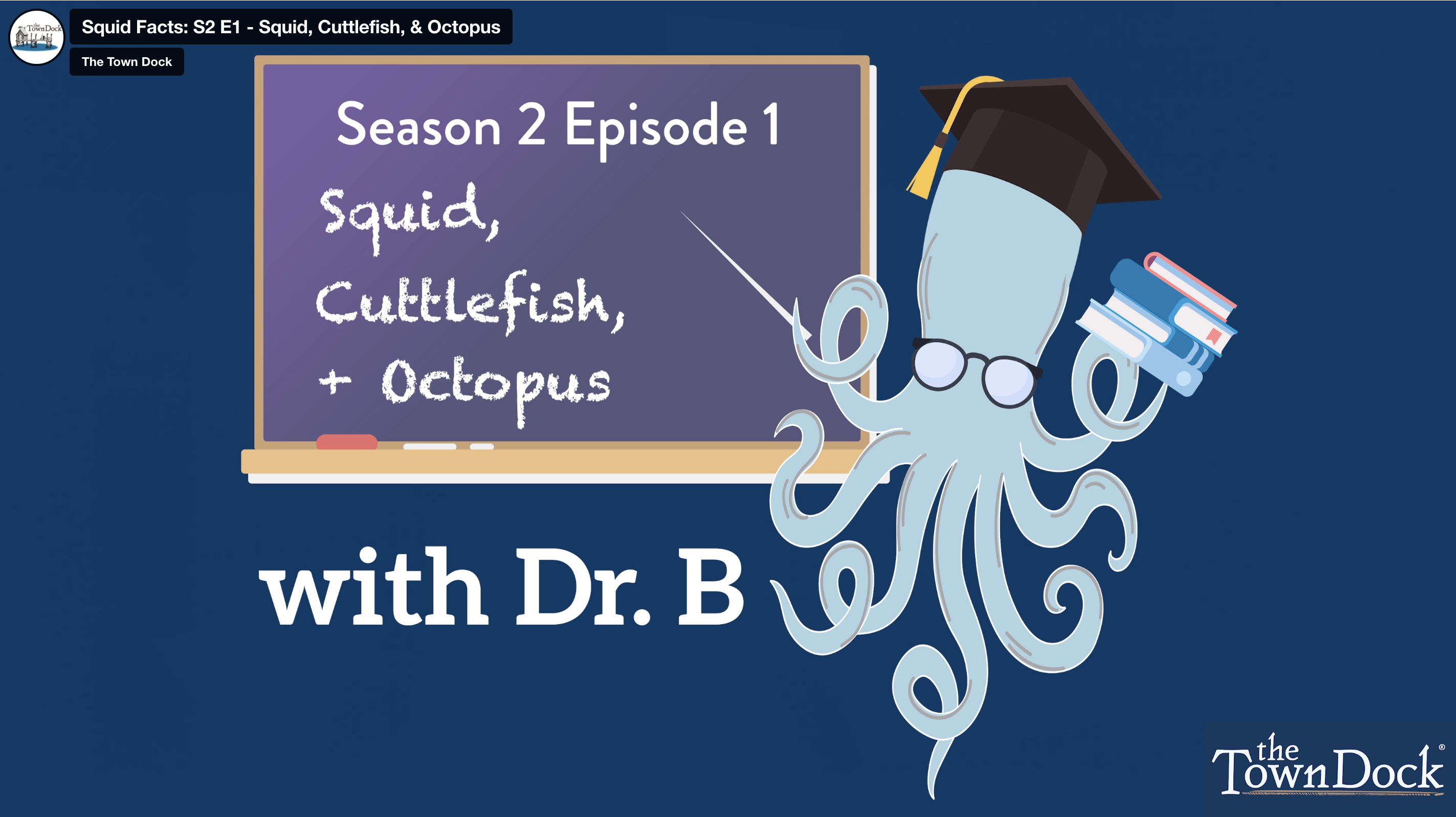 Squid And Octopus Differences