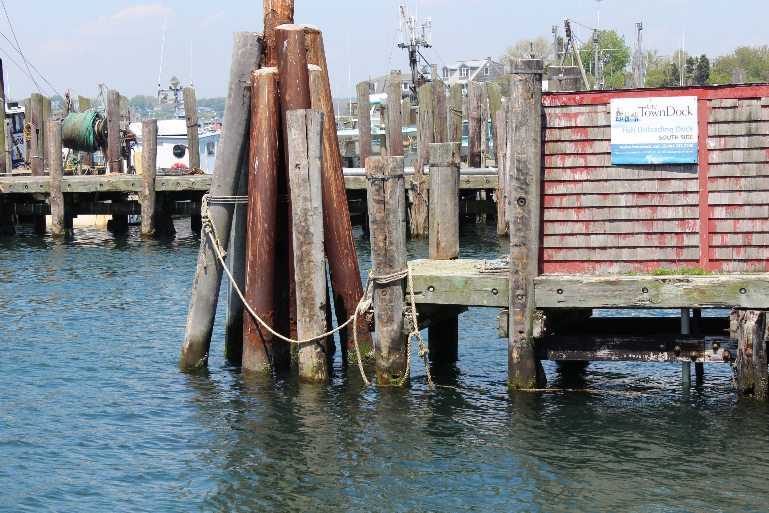 The Rhode Island Seafood Marketing Collaborative